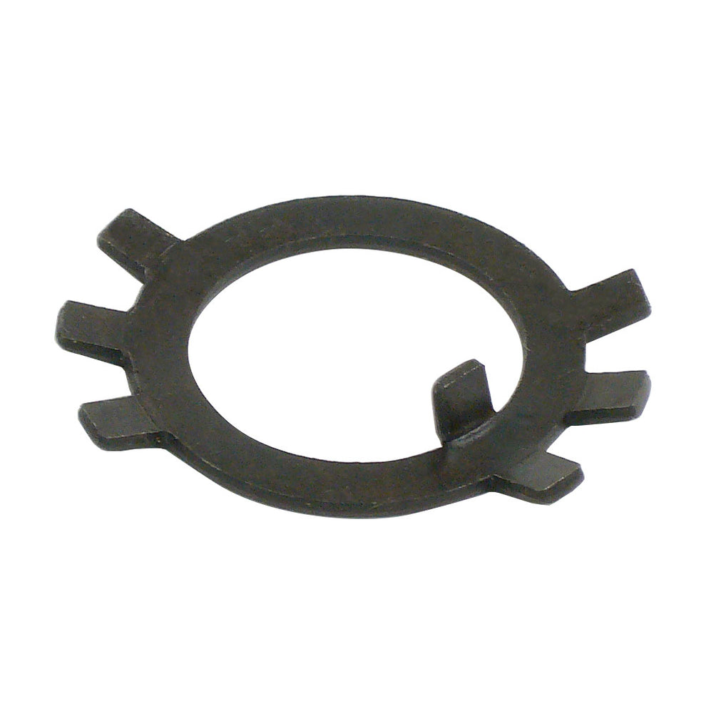 Lock Ring, Spindle Nut – LittleMachineShop.com